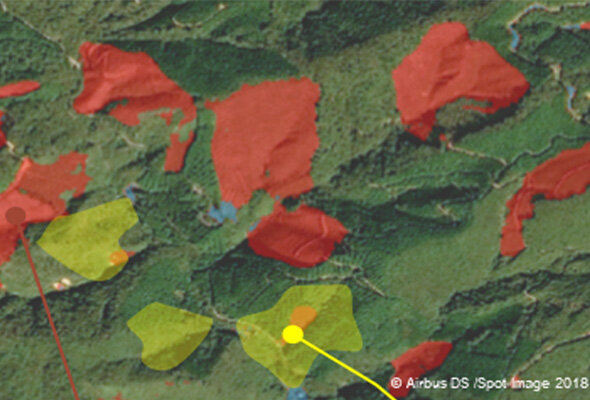 Other Satellite & Satellite Value-added Product｜ALOS-4/ALOS-2 Data Distribution | PASCO CORPORATION
